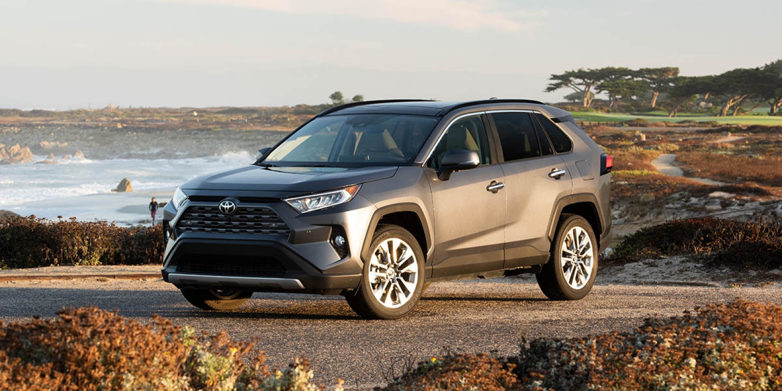 Toyota Rav4 2019 Tire Size